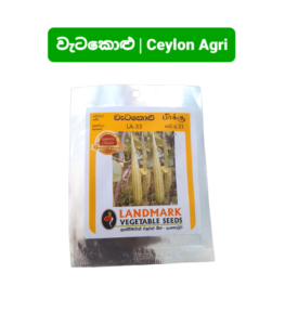 Ridge Gourd ( Watakolu ) seeds are now available-ceylonagri