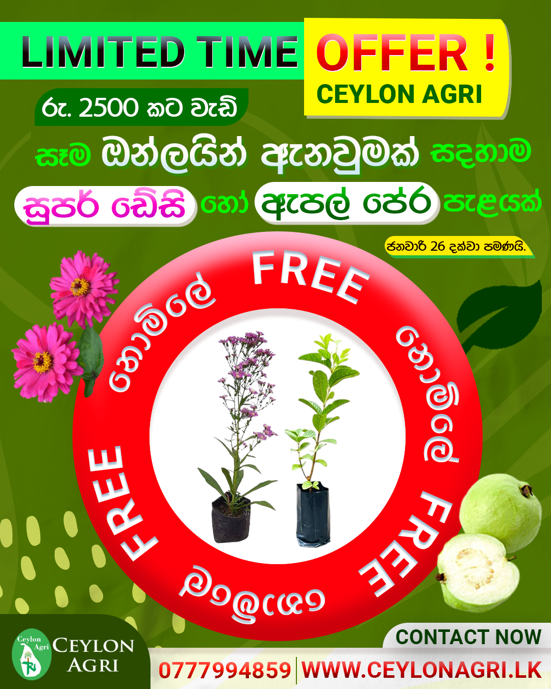 Calamansi plants are now available from www.ceylonagri.lk